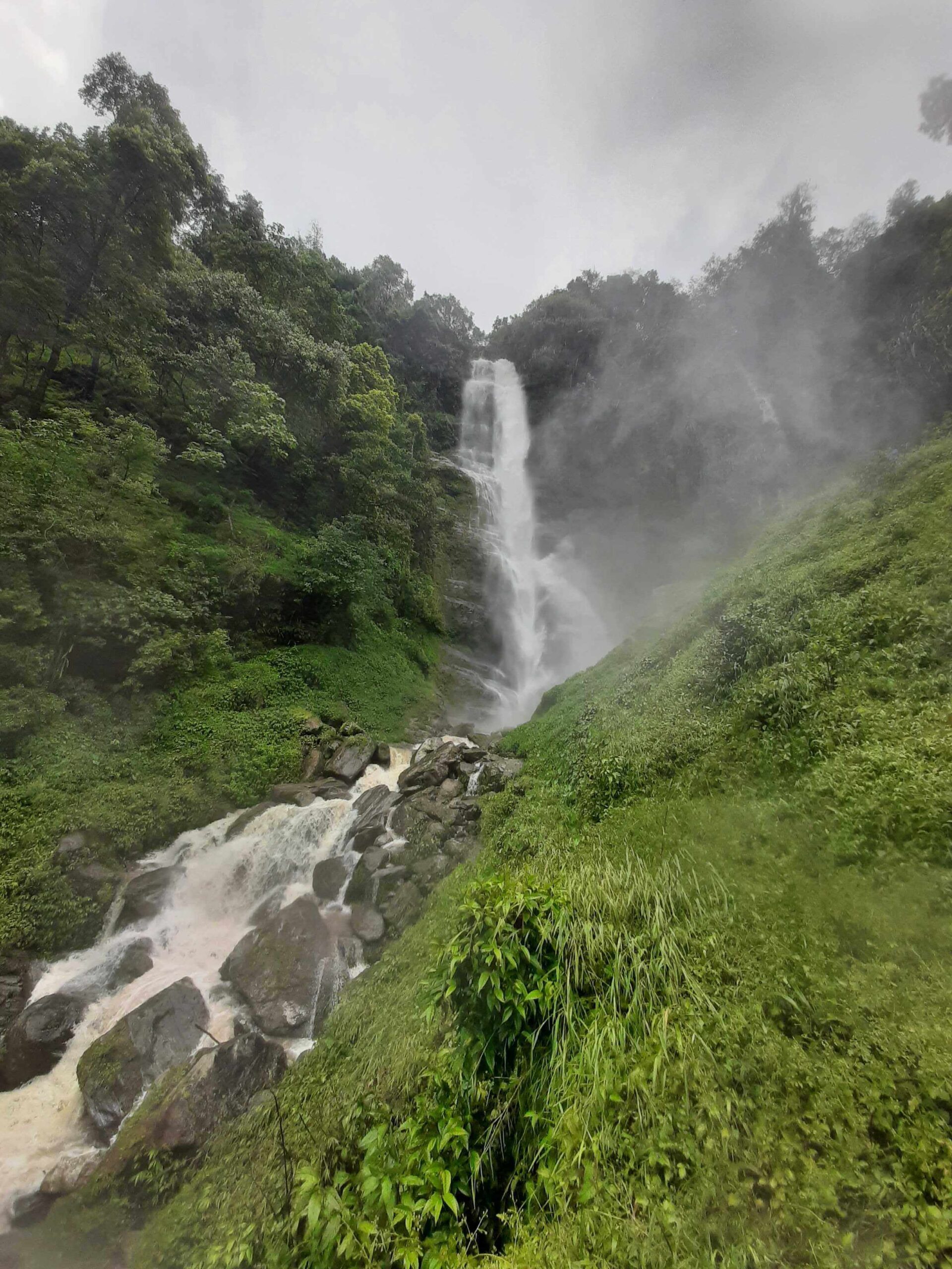 Why Speak at WordCamps? + How to Apply to Be a Speaker?